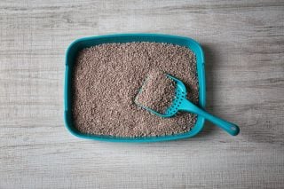 6 Clever Ways to Get Rid of Mice That Actually Work - Kitchen Fun With ...