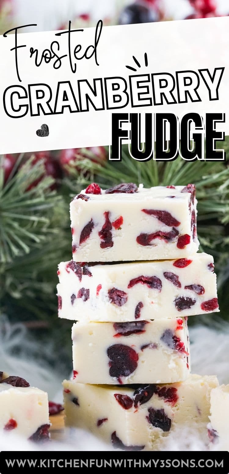 White Chocolate Cranberry Fudge | Kitchen Fun With My 3 Sons