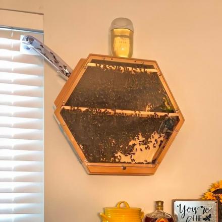 Tips and Tricks for the Home & Kitchen
