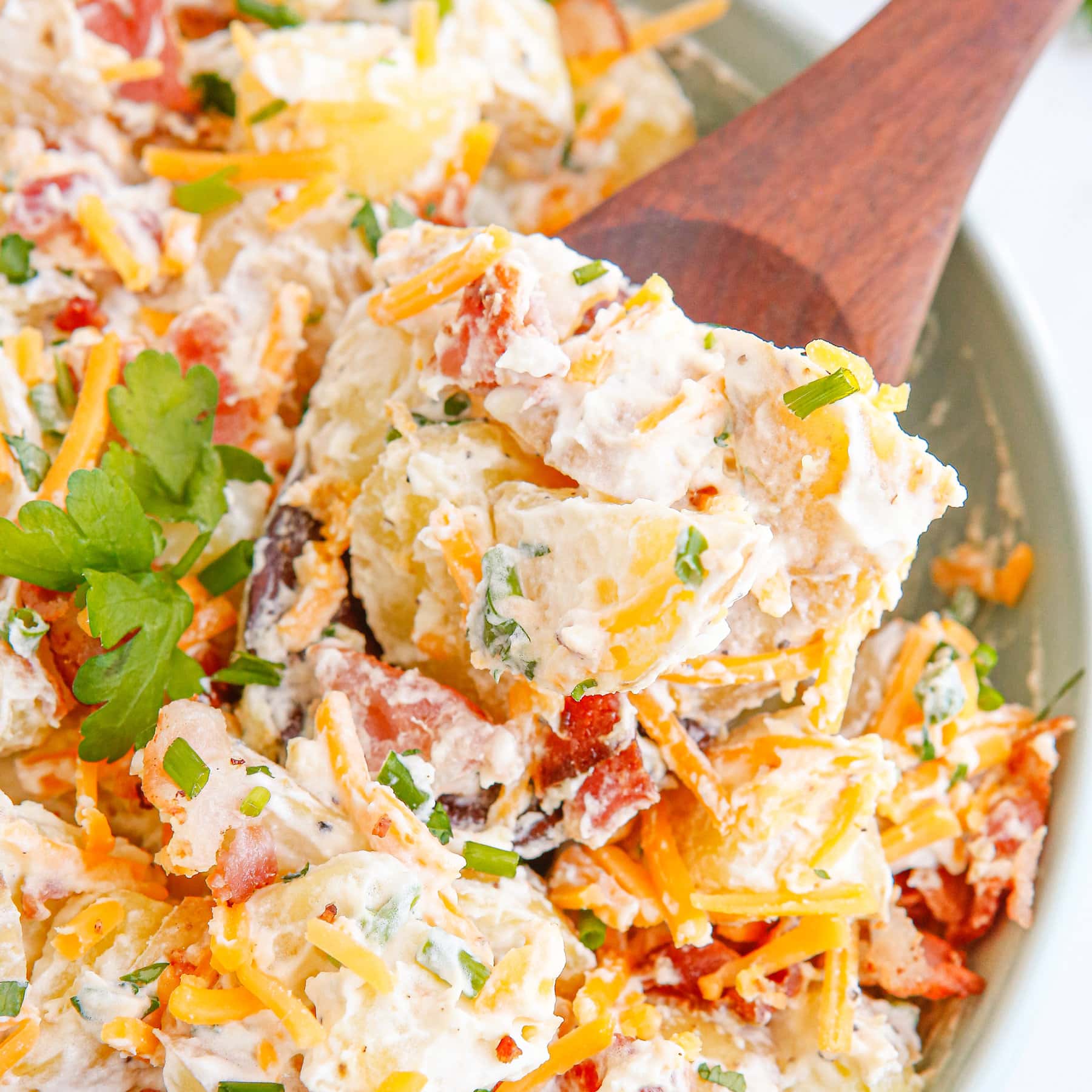 The Best Easy Salad Recipes (For All Occasions)
