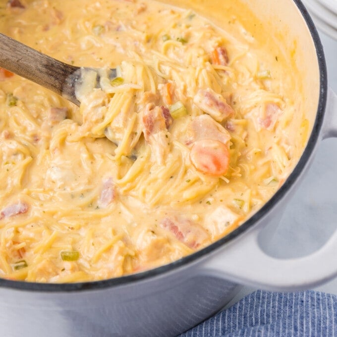 Easy White Queso Enchiladas l Kitchen Fun With My 3 Sons