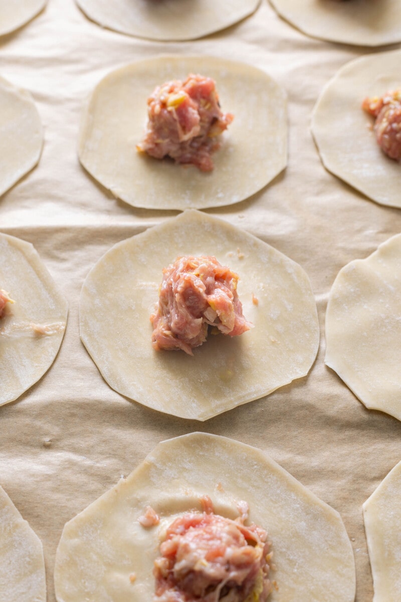 Potstickers Recipe l Kitchen Fun With My 3 Sons